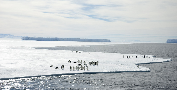 OW Ross Ice Shelf - Swoop Antarctica Blog