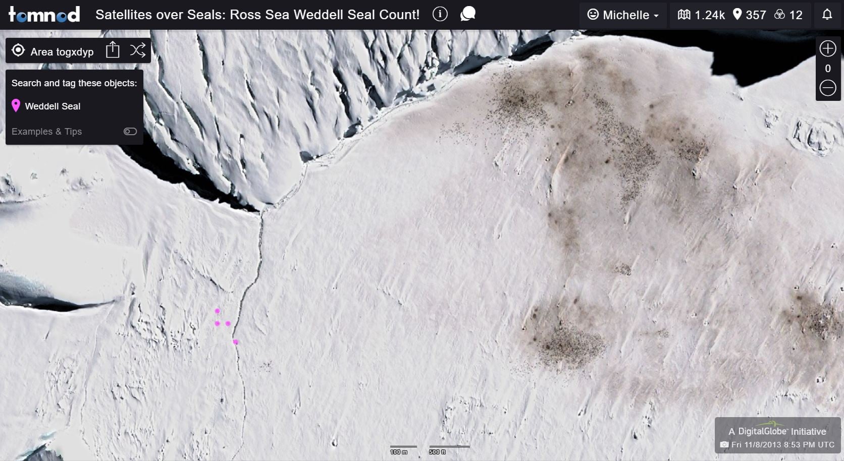 How to count penguins from space - Swoop Antarctica Blog