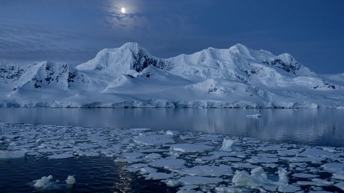 Antarctic vs Arctic: Which Should You Visit? - Swoop Antarctica Blog