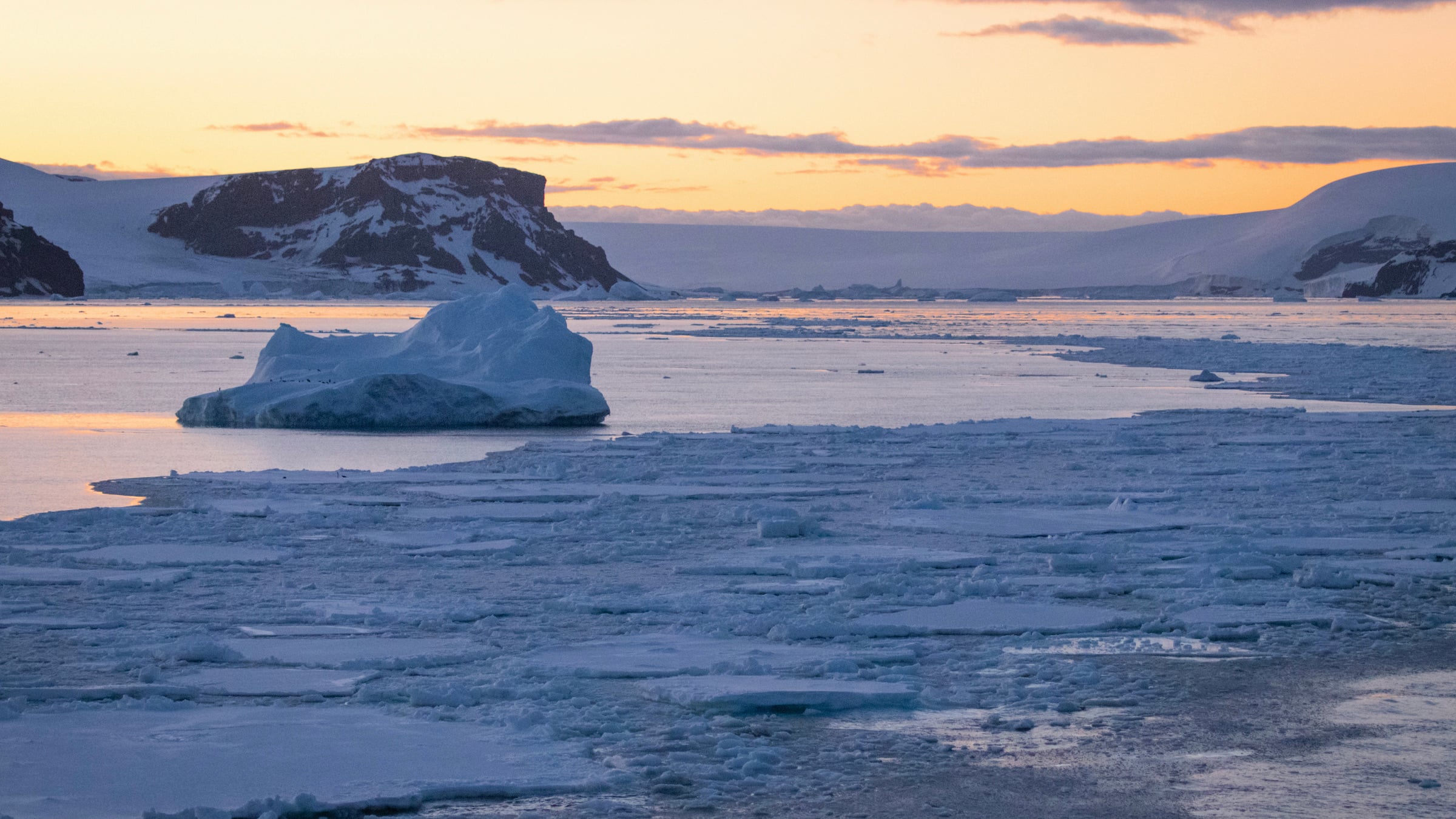 Antarctic vs Arctic: Which Should You Visit? - Swoop Antarctica Blog
