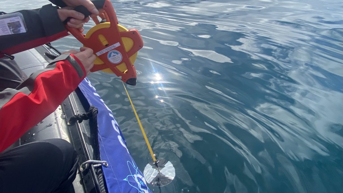 Measuring ocean health with citizen science in Antarctica - Swoop ...