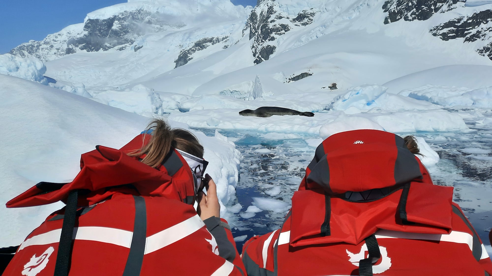 Chasing ice: uncovering the heart of Antarctica by zodiac - Swoop Antarctica Blog