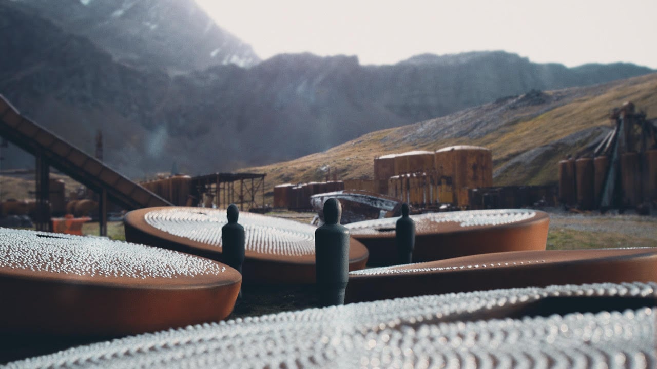 Commensalis: telling the story of South Georgia's whales through art ...